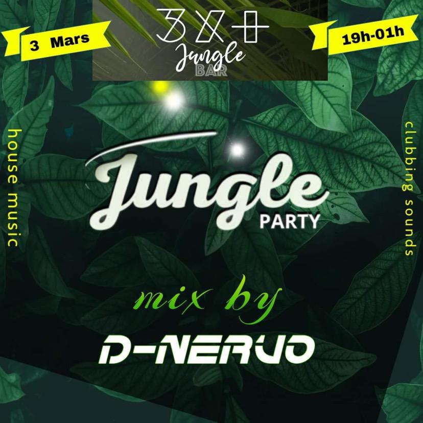 Jungle Party avec D.NERVO - Le Troyes Fois Plus